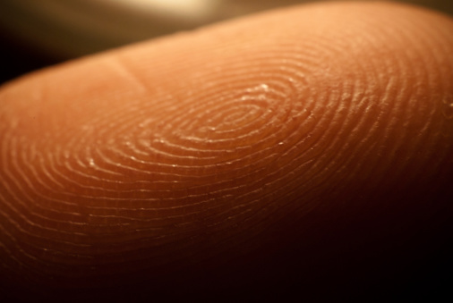 One in 10 millennials would give up a finger for their smartphone | SC ...