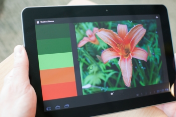 Adobe Patch Tuesday addressees Flash bypass and code execution flaws ...