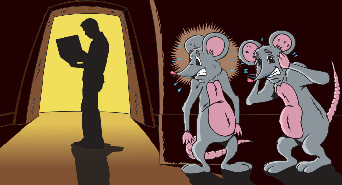 Cardinal RAT reigns under the radar two years | SC Media