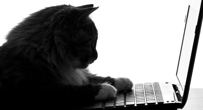 Microsoft grabs APT35/Charming Kitten websites in court ordered take ...