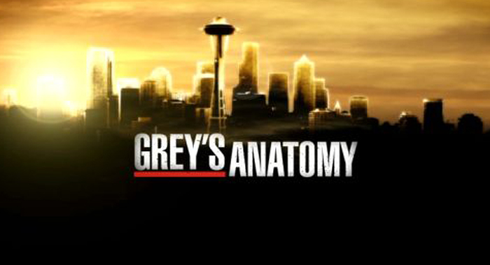 Cyber experts play script doctor, as Grey’s Anatomy resolves hospital ...