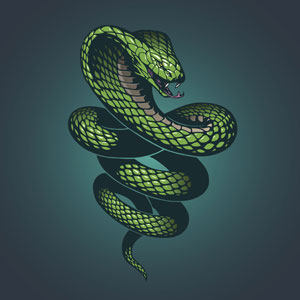 Snake ransomware tries to slither its way into enterprise networks | SC ...
