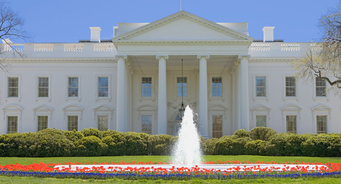 Bolton, team mull eliminating White House cybersecurity coordinator ...