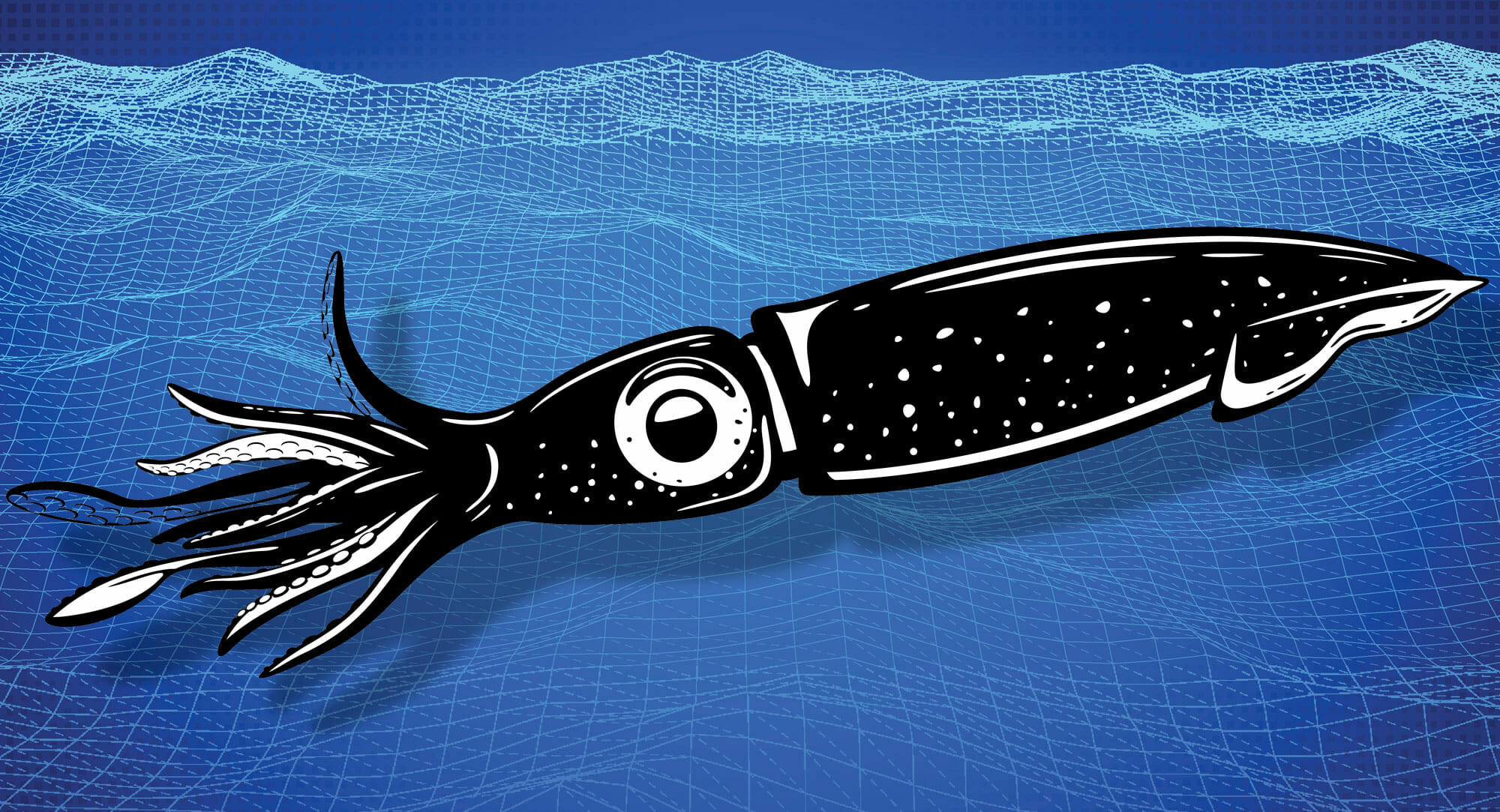 BlackSquid malware wants to wrap its tentacles around web servers and ...