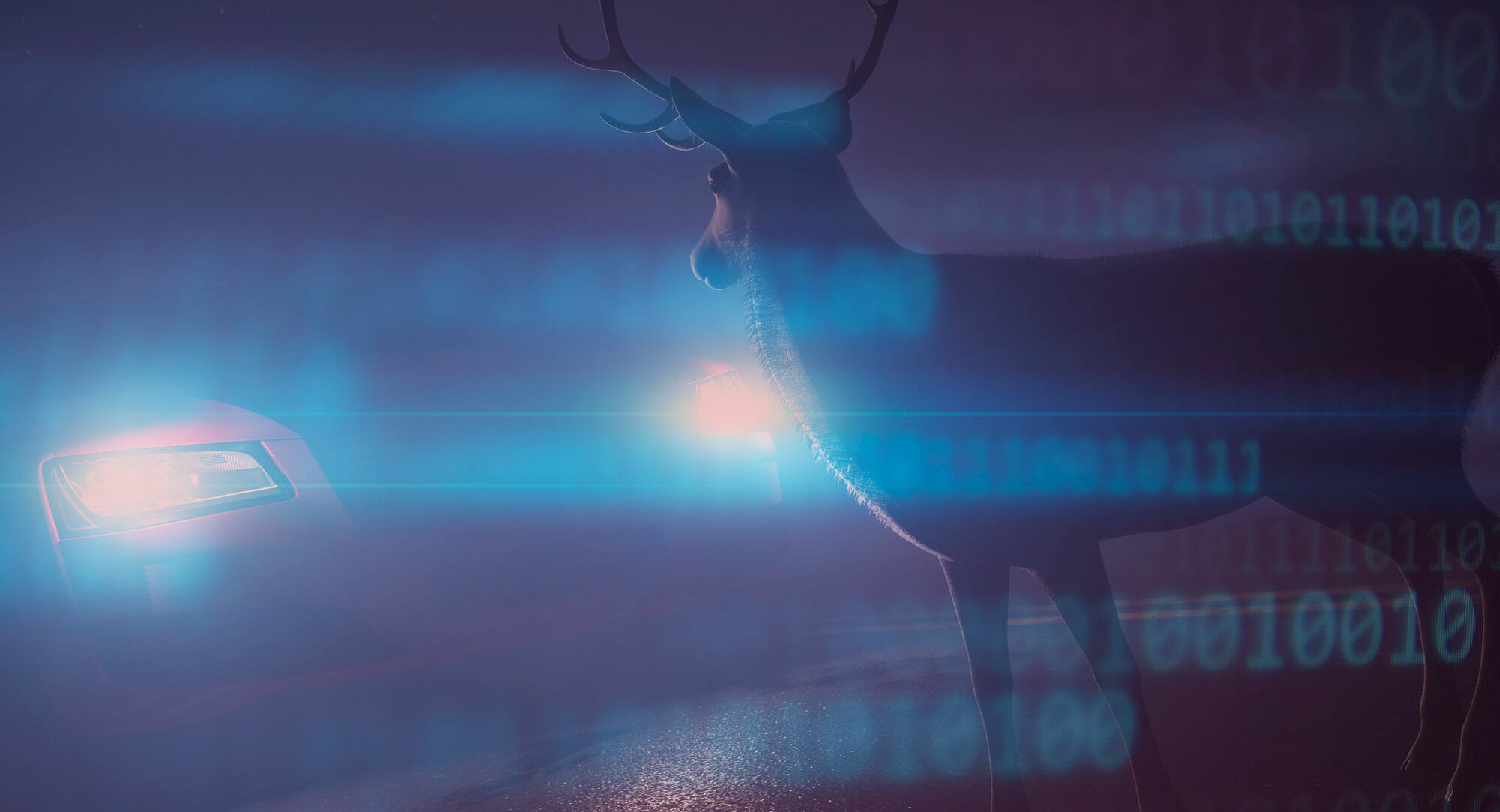 DEER.IO caught in FBI’s headlights; cybercrime platform gets shut down ...