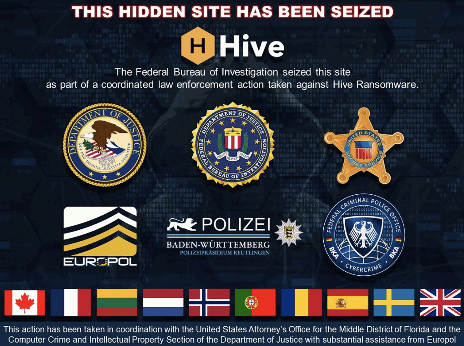 US, Europol seize Hive ransomware servers and leak sites: ‘We hacked ...