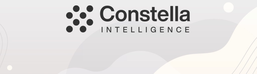 Constella Intelligence Digital Risk Protection Unveils Partner Program ...