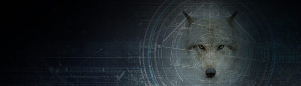 SOCaaS Provider Arctic Wolf Networks Unveils Managed Risk Solution ...