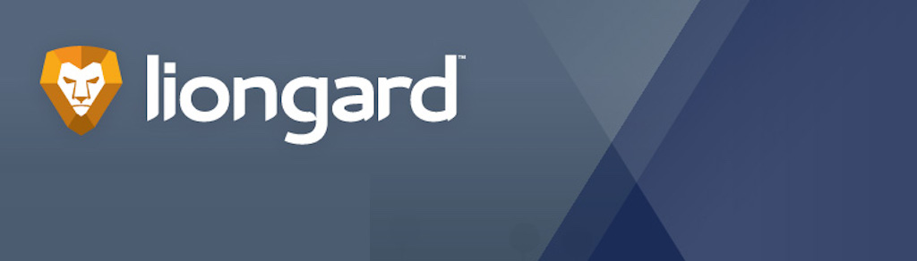 MSP Automation Software Provider Liongard Raises $4.5M - | ChannelE2E