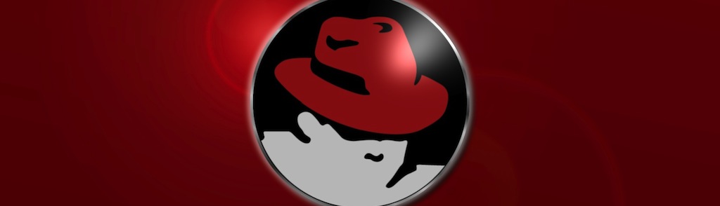 Red Hat Channel Business Hits All-time High - | ChannelE2E