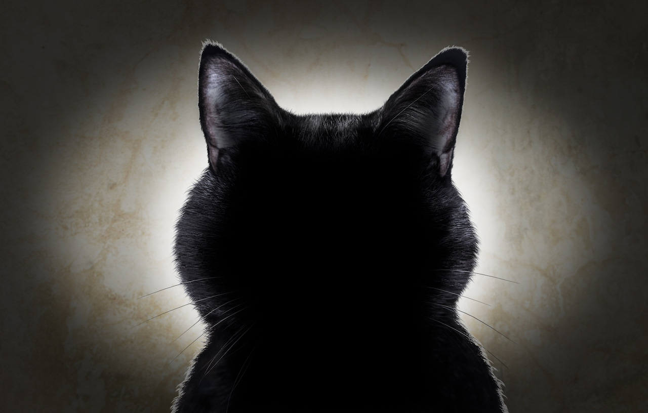 ALPHV/BlackCat reporting to the SEC could become the ‘new normal’ for ...